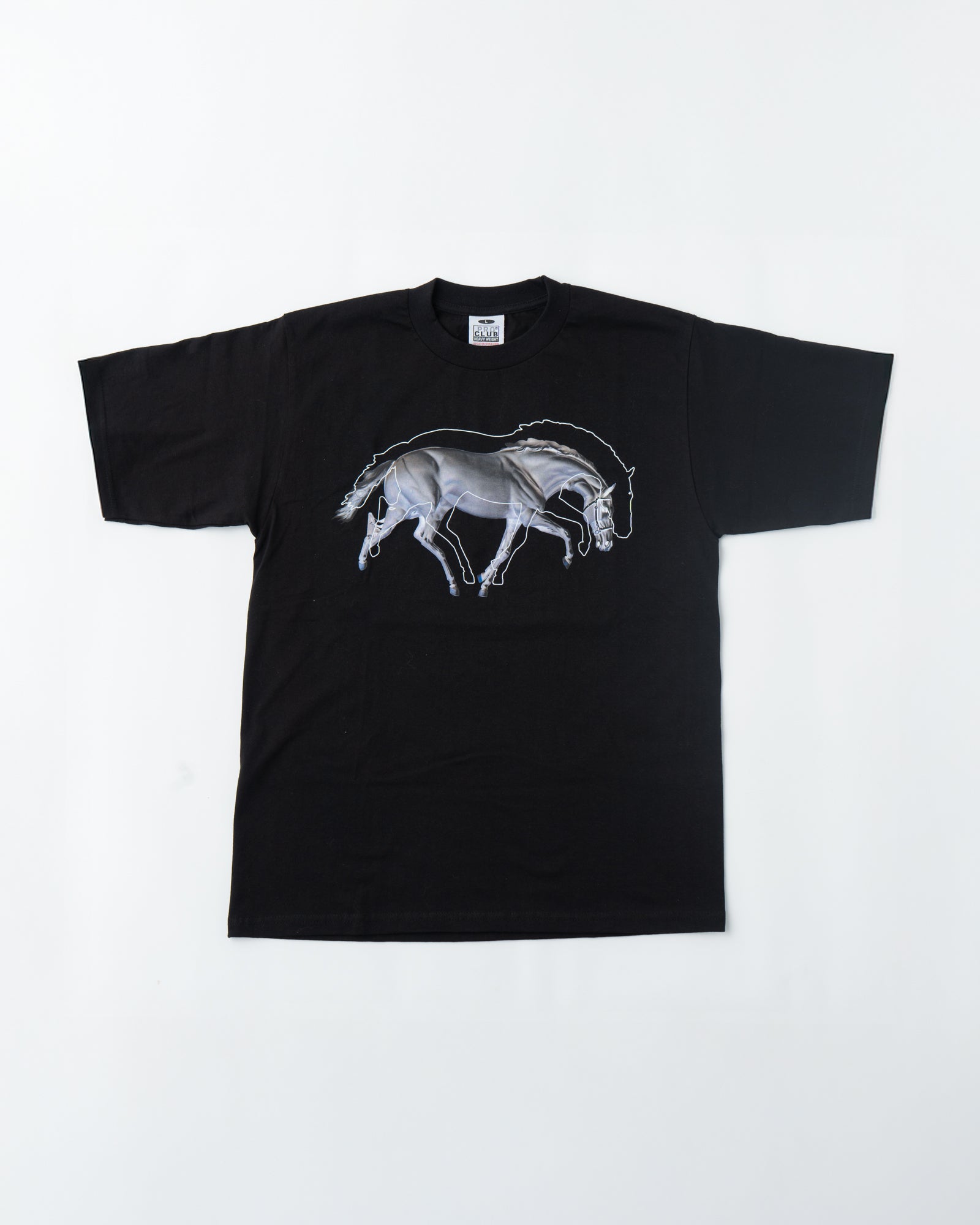 HORSE TEE – TREATMENT ASIA